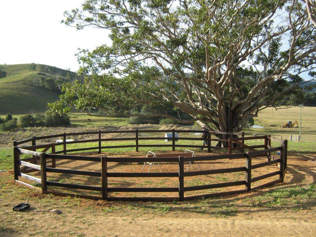 Lessons in the Round-yard | Spark of Hope