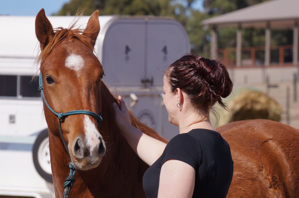 Banjo (Code: BAN) | Spark of Hope